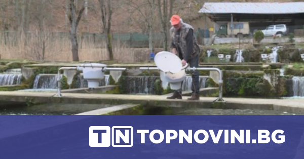 България - един от големите производители на черен хайвер от есетрови риби